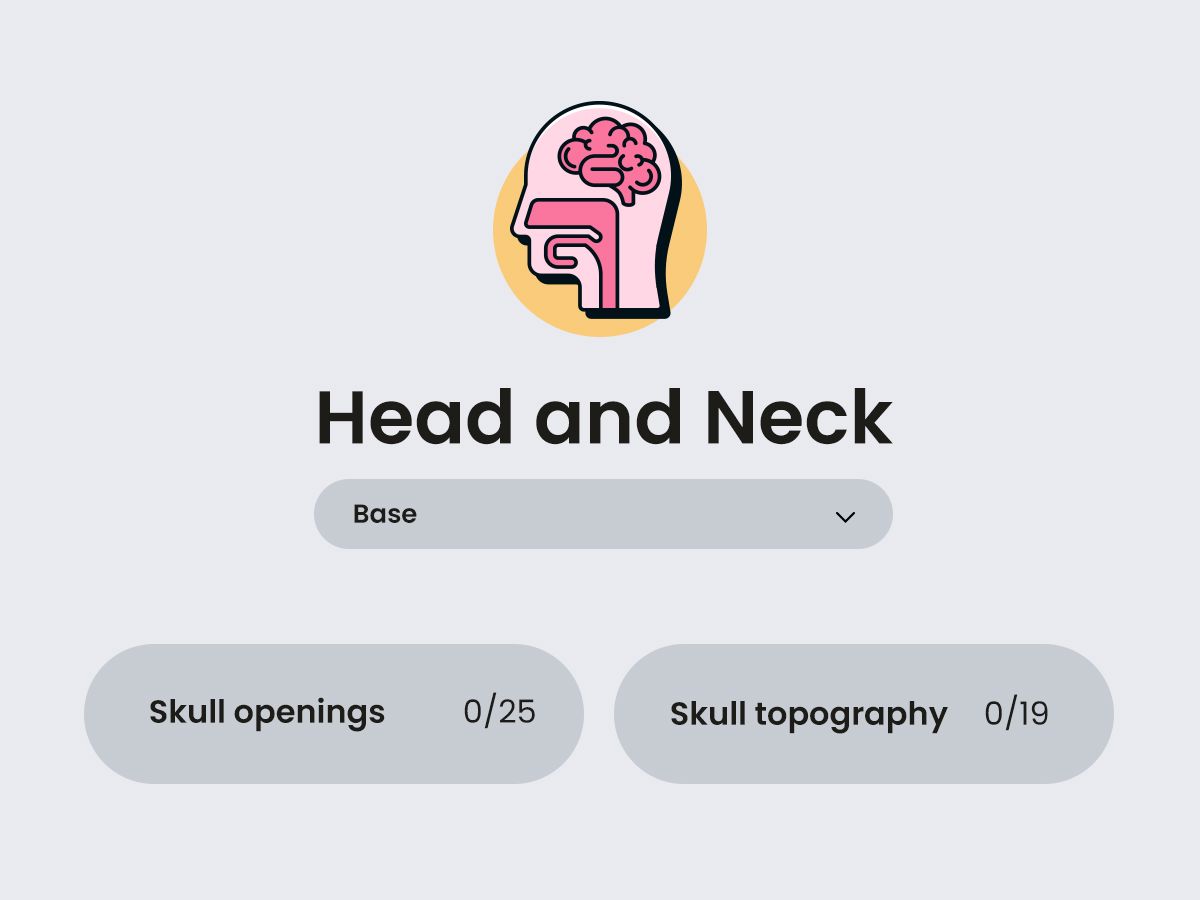 Anatomy.app Content News in September | Anatomy.app