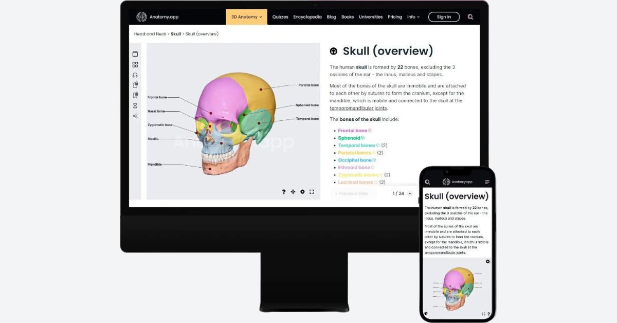 Digital Cadavers and Virtual Labs: a Futuristic Approach to Anatomy Learning | Anatomy.app