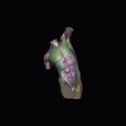 3D Reference Tool | by Anatomy For Sculptors