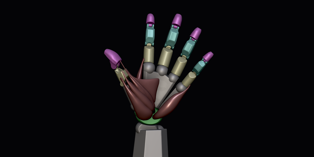 3D Reference Tool | by Anatomy For Sculptors