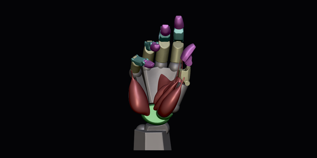 3D Reference Tool | by Anatomy For Sculptors